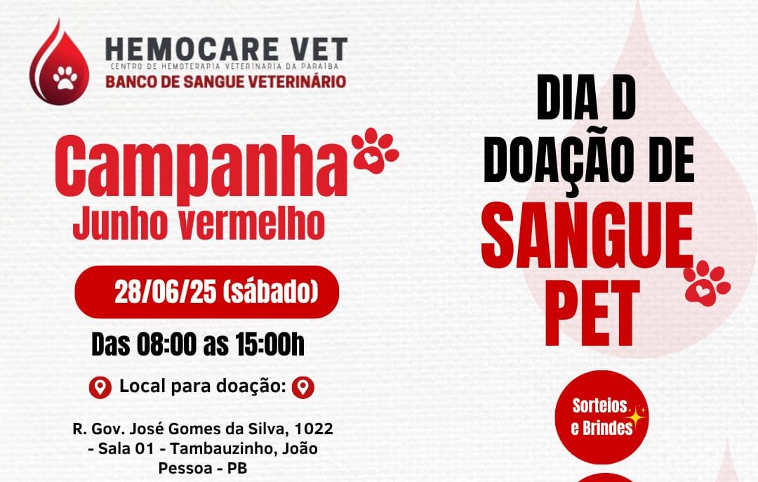 Campanha incentiva doação de sangue para pets em João Pessoa ...